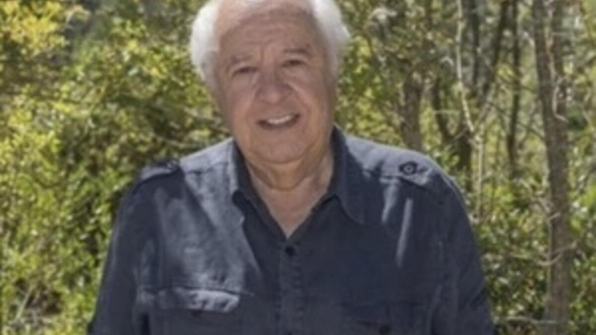 Morreu Luís Alberto, ícone do teatro e da televisão portuguesa - JN