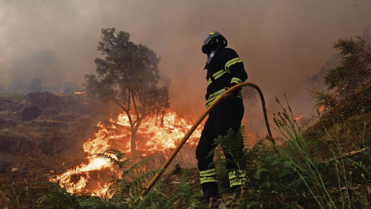 Calor deixa vários concelhos em perigo de incêndio - JN