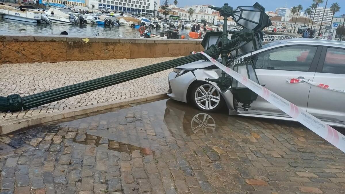 Rajadas de 112km/h derrubaram árvores e estruturas em Faro - JN