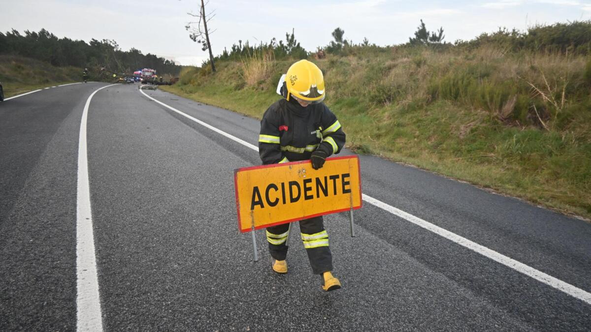 Um morto após queda de árvore em cima de carro em Vila Franca de Xira - JN