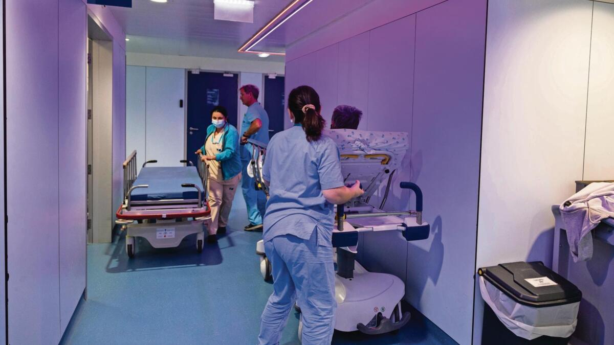 Fungo hospitalar: Estudo identifica primeiros casos de "Candida auris ...