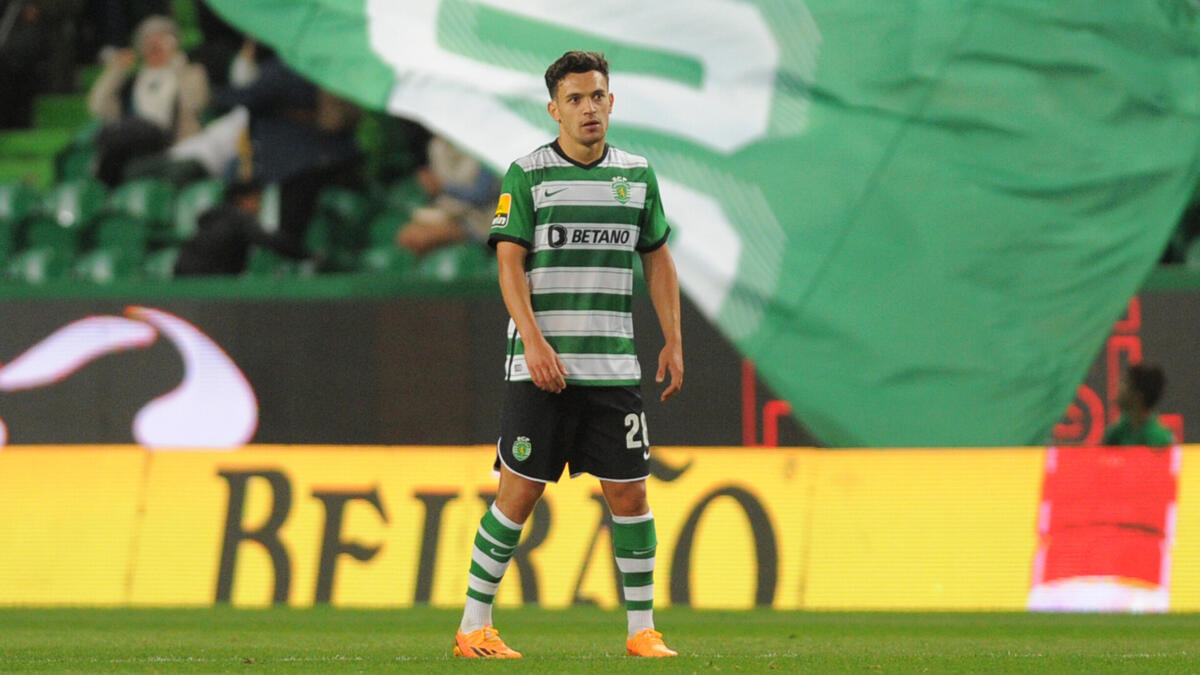 Pote anuncia renovação de contrato com o Sporting - JN