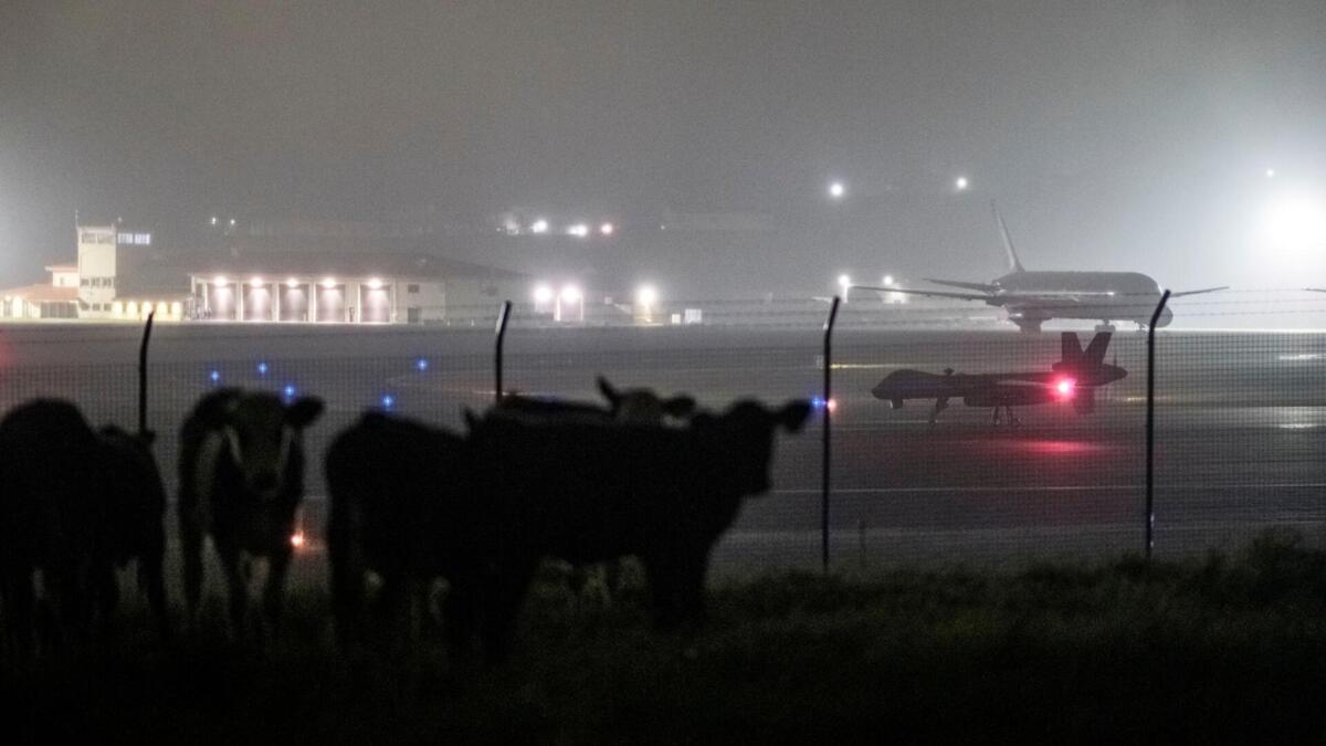 Rangel considera que utilização das Lajes pelos EUA tem sido ínfima - JN