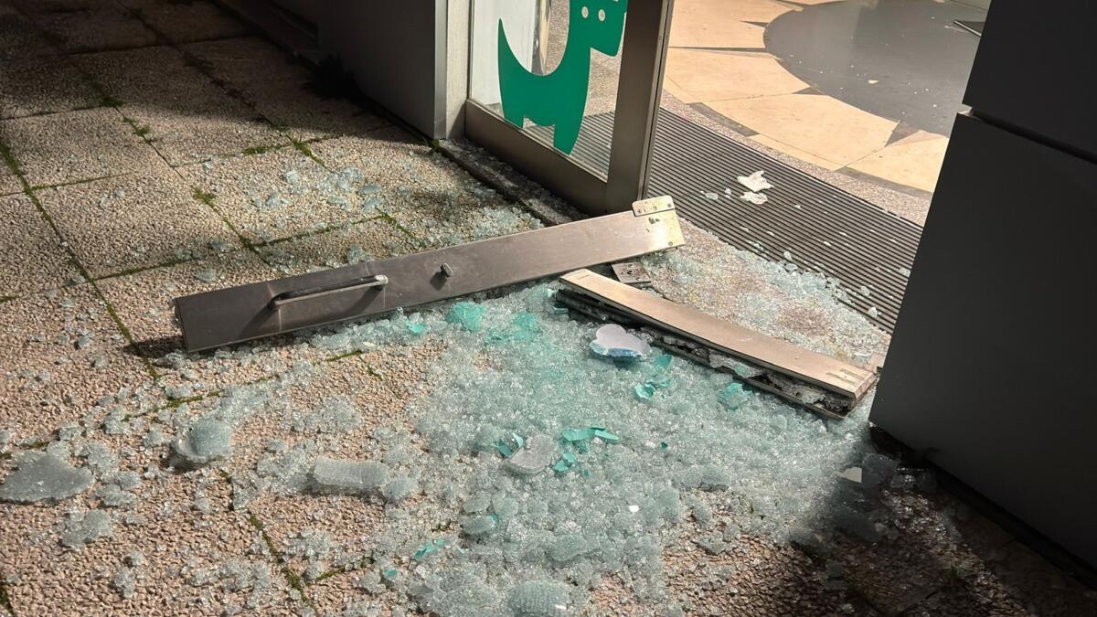 Mother and Daughter Attacked in Veterinary Clinic in Maia, Portugal ...