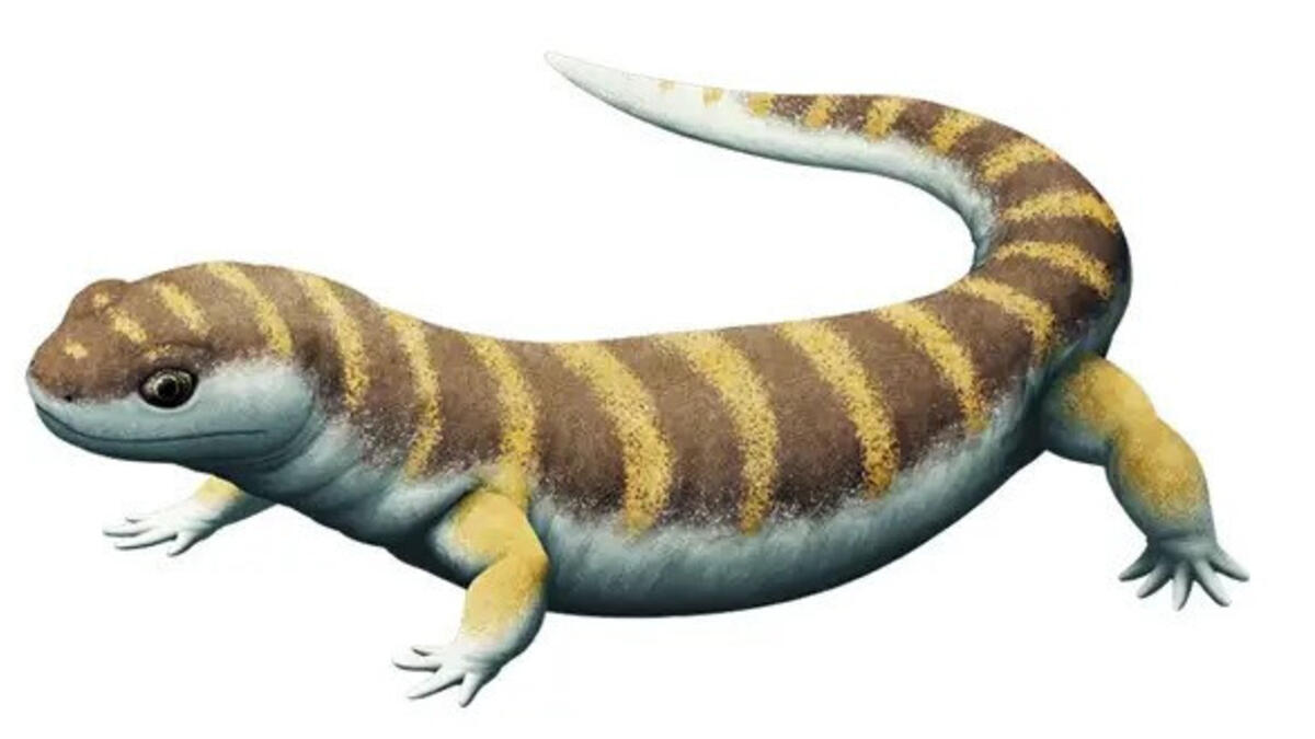 Estudo identifica nova espécie de réptil primitiva que viveu em ...