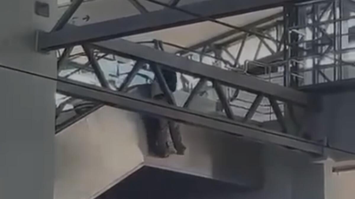 Jovem em coma após queda aparatosa numa estação de comboios - JN