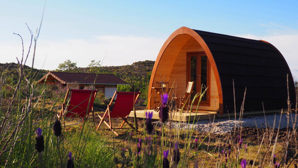 Na Quinta do Maral, em contacto com a natureza, sem barreiras - JN