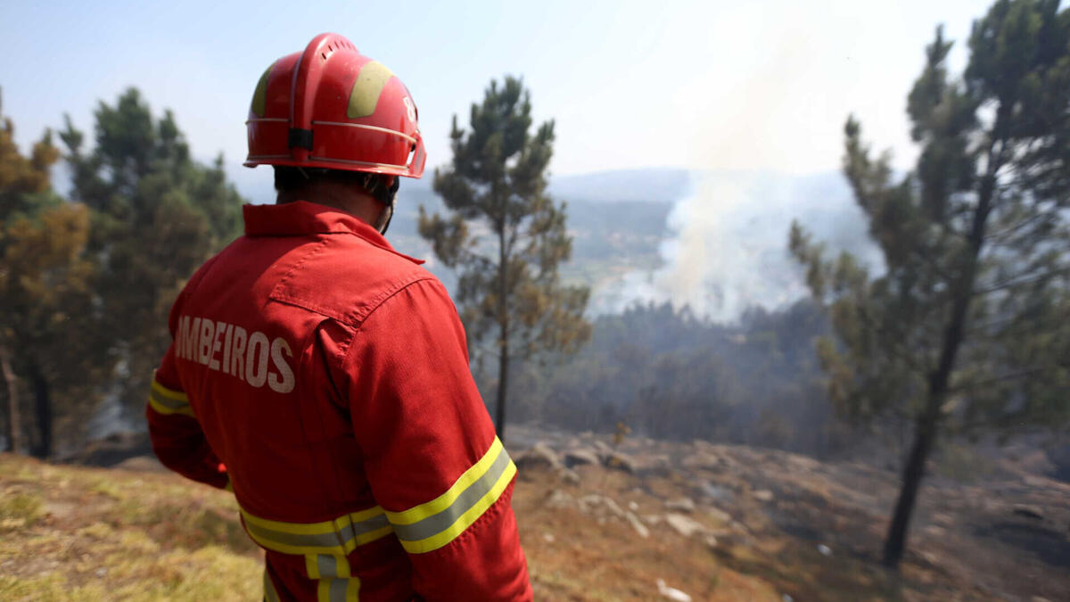 Região Centro com 3800 operacionais e 29 meios aéreos contra fogos - JN