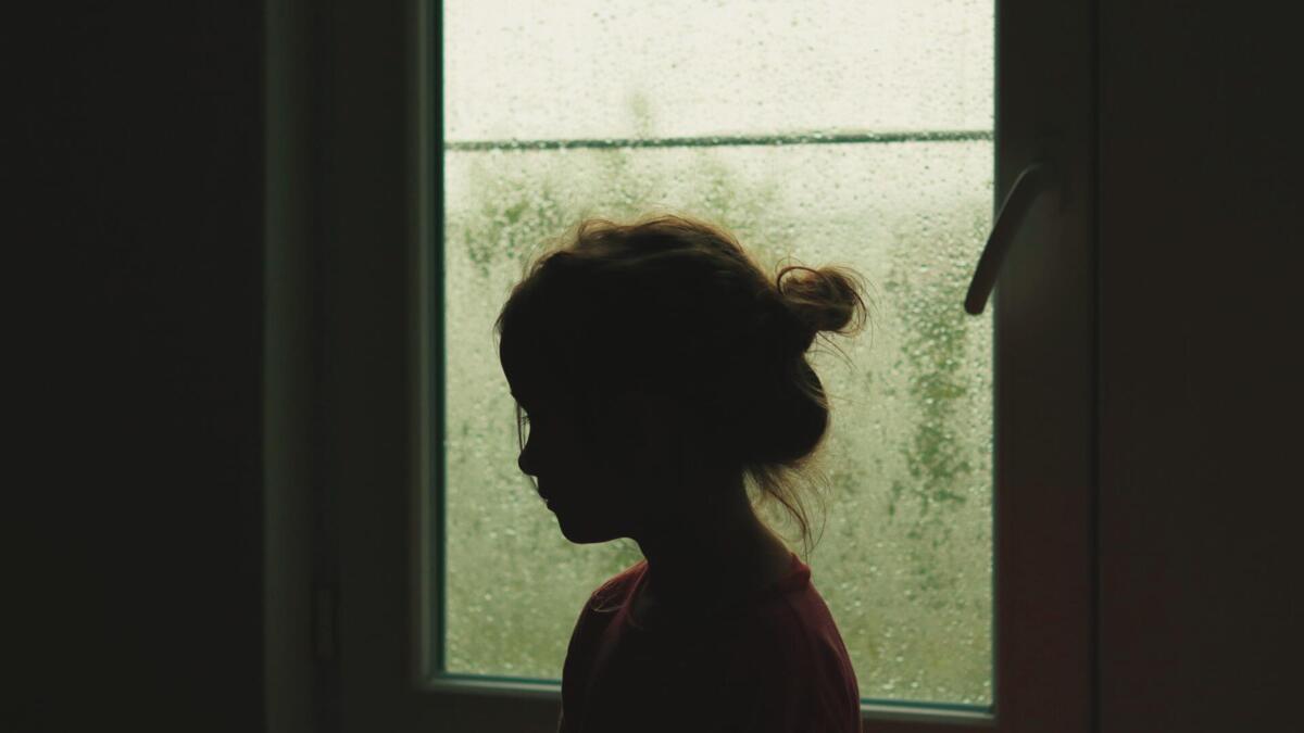 Menina de 12 anos agredida sexualmente por colegas de turma em Espanha - JN