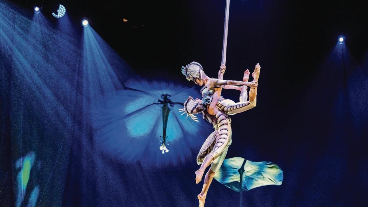 Cirque du Soleil: do "sonho" nasce um espetáculo sobre natureza e ...