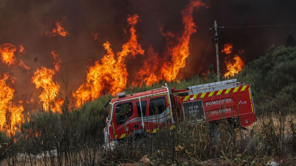 "Vento mudou". Fogo descontrolado em Meãs e Aradas na Pampilhosa da Serra - JN