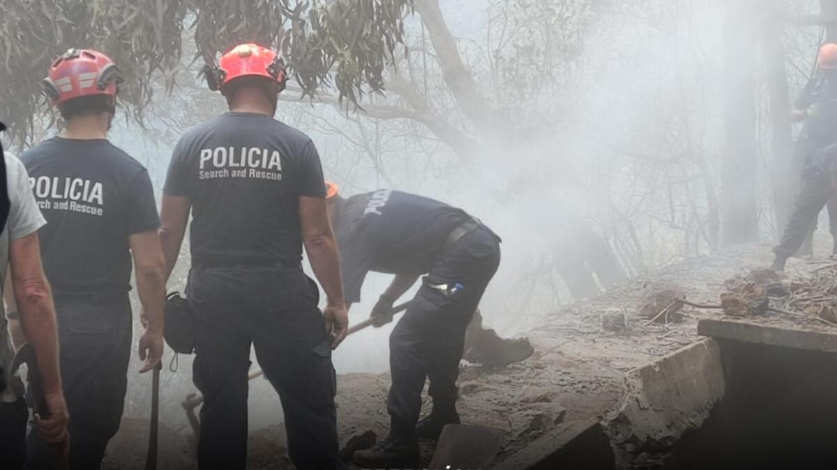 Equipas de vigilância da PSP identificam dois incendiários em flagrante ...