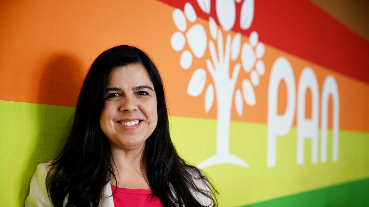 Sousa Real volta a ser cabeça de lista do PAN por Lisboa e muda número ...