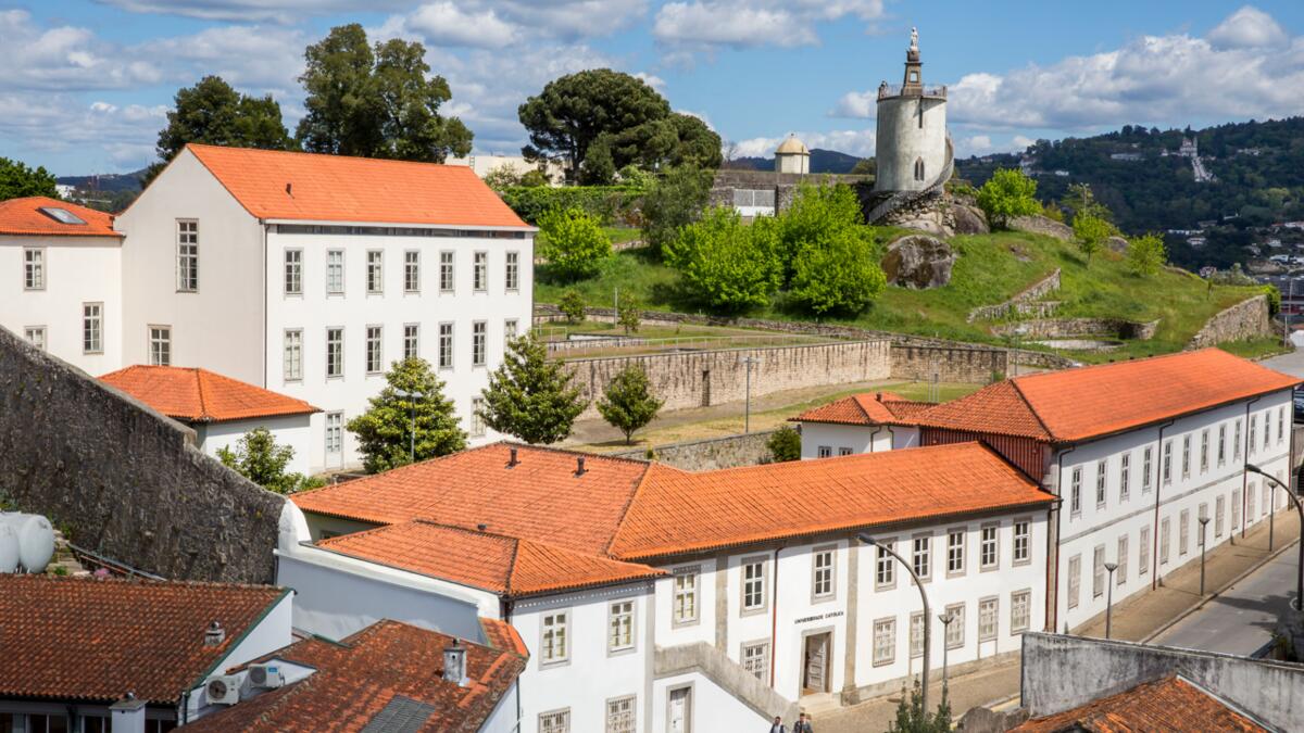 Professora da Católica reclama 80 mil euros após corte unilateral de ...