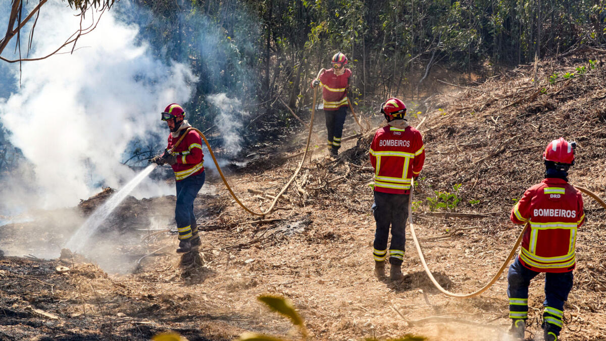 Marcelo promulga reforço de medidas de apoio às vítimas de incêndios - TSF