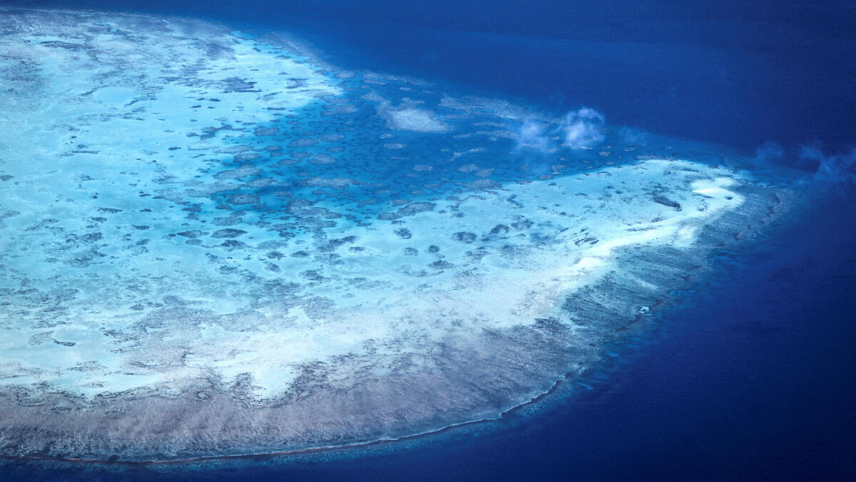 "Desastre ecológico e cenário devastador." Grande Barreira de Coral ...