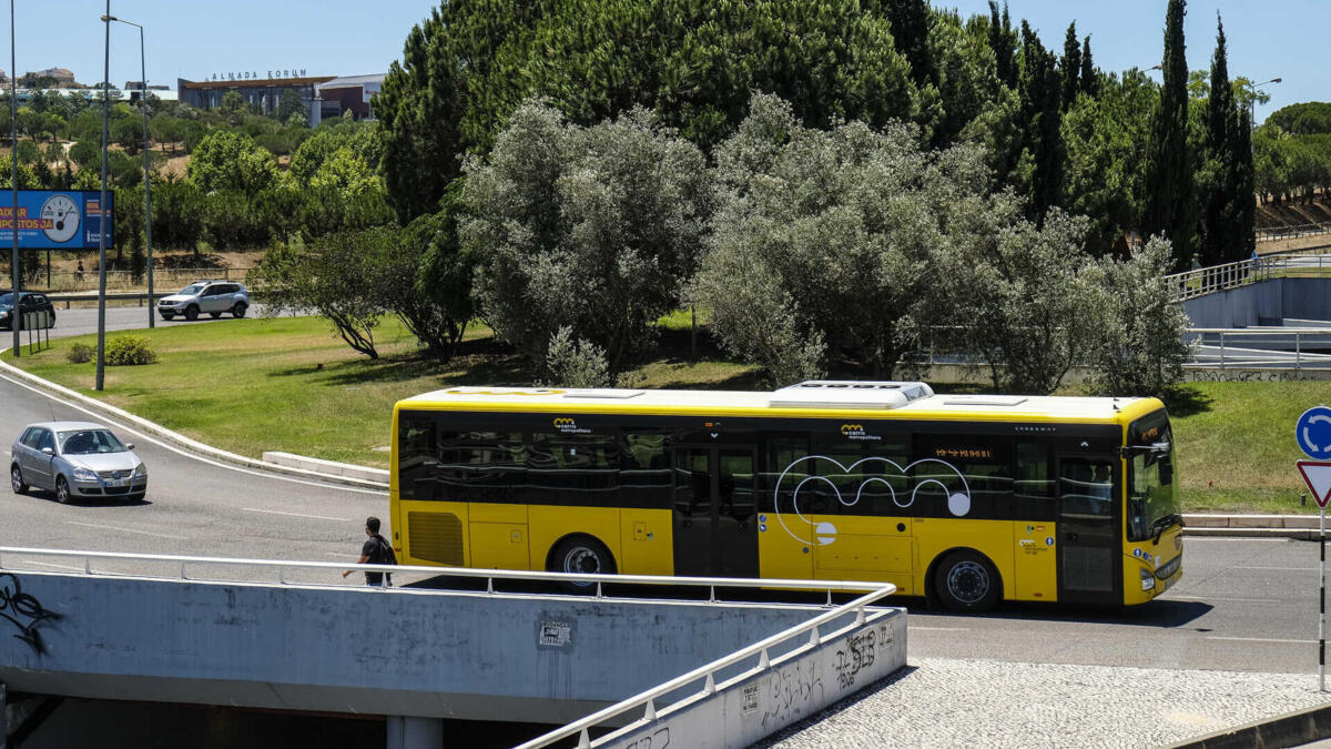 Autocarros mais lentos? Associação Zero lamenta que transportes "não ...