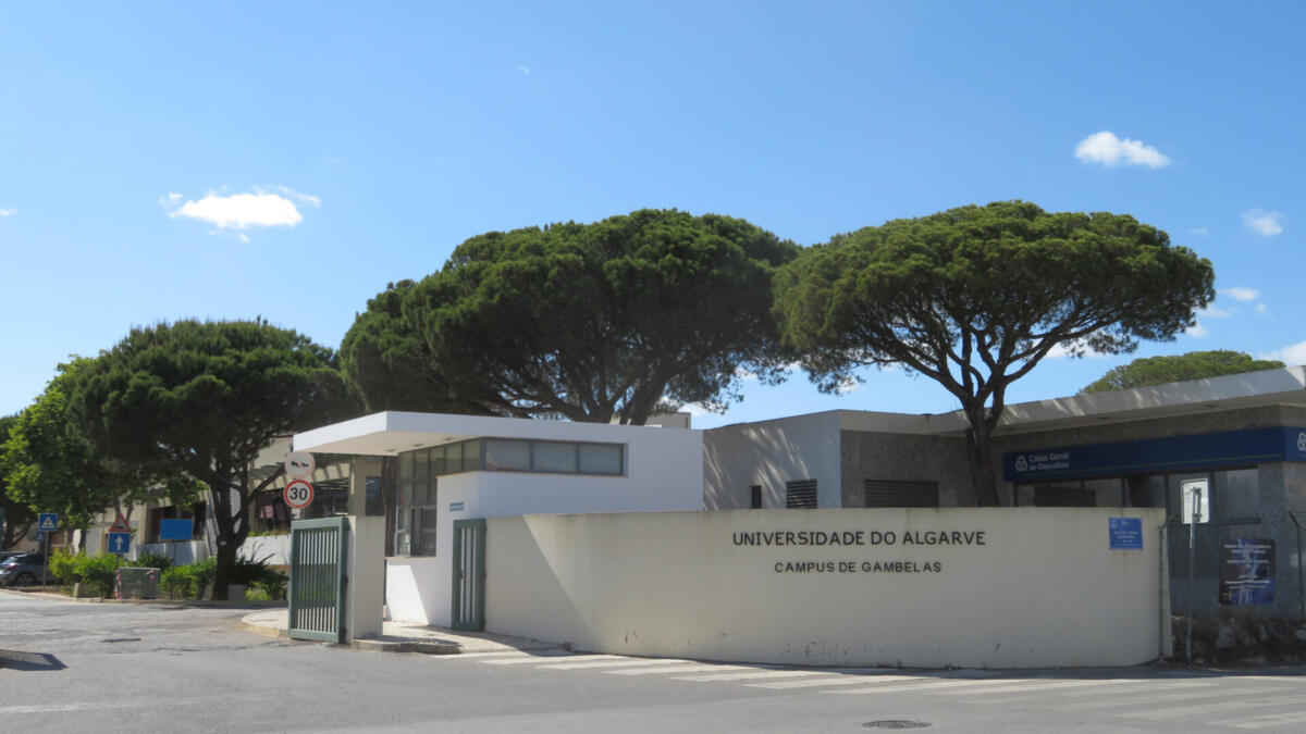 Universidade do Algarve abre inquérito após comportamentos sexistas na ...