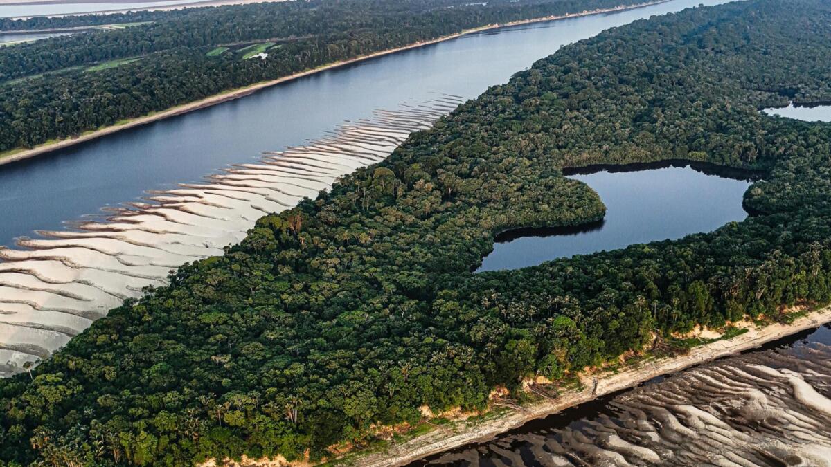 Primavera vai trazer Amazonia Space Hub - TSF