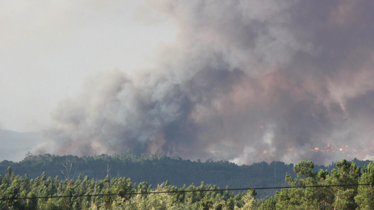 Incêndios em Pedrógão Grande cortam IC8, EN2 e várias estradas ...